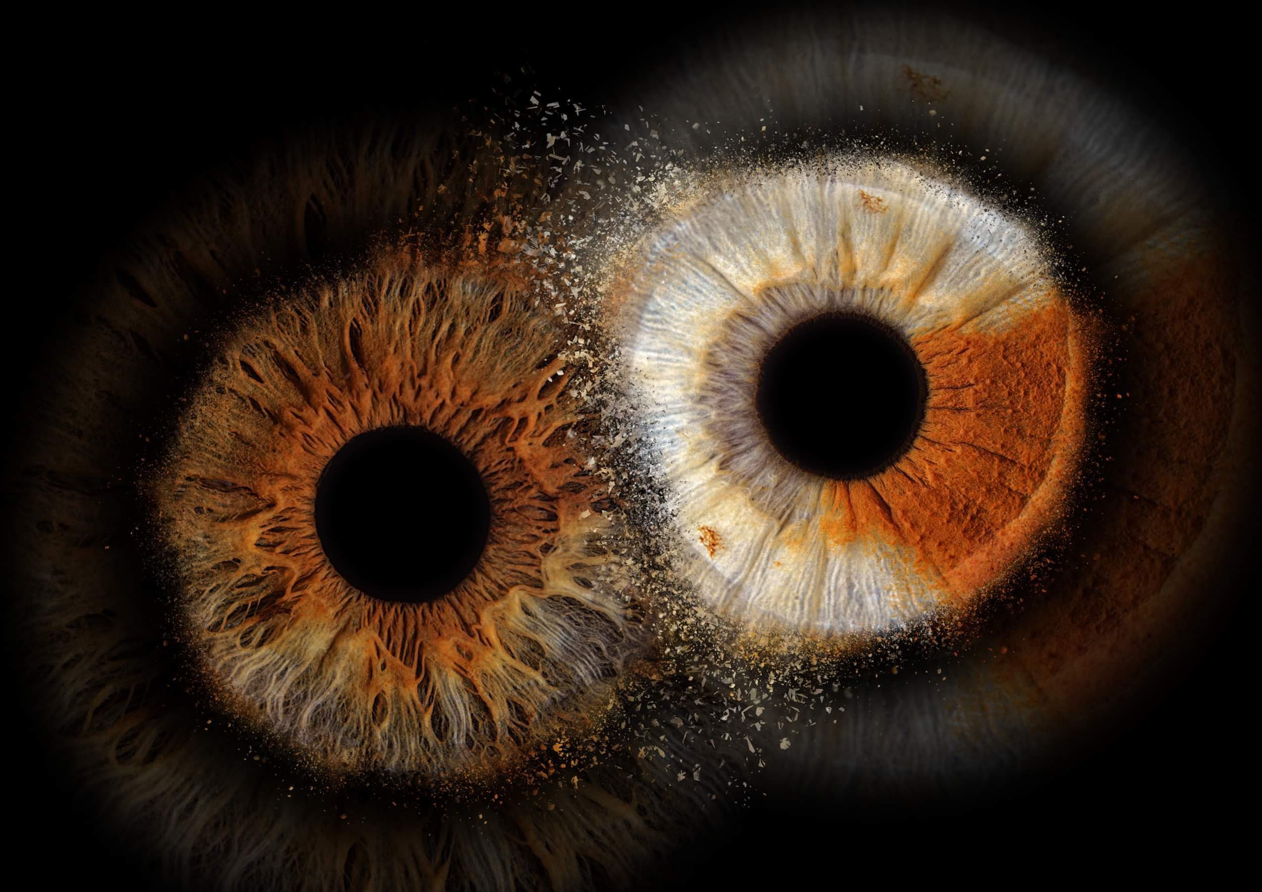 Prix des photographies d'iris à Montréal, des effets graphiques et des ...